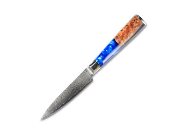 9 Types of Butcher Knives and Their Uses