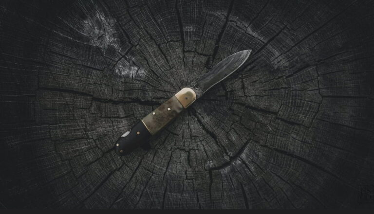 Frame Lock vs Liner Lock - A Deep Dive into Pocket Knife Locks