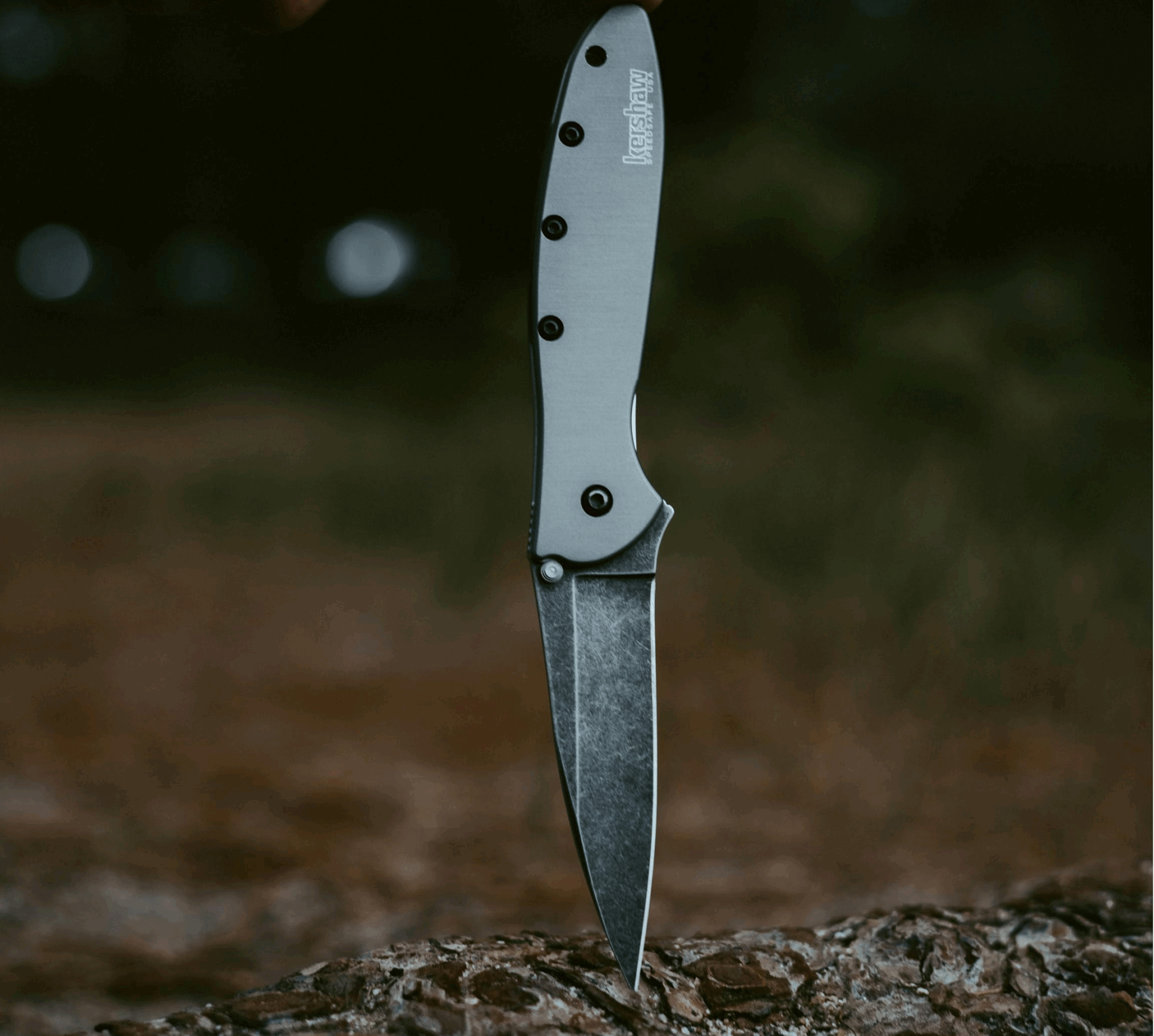 Wharncliffe Blade: A Complete Guide to this Unique Design(2025)