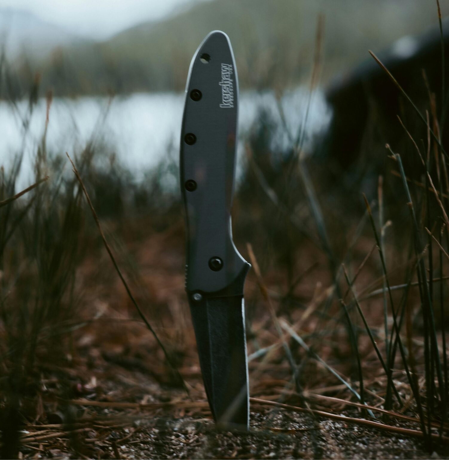 Wharncliffe Blade: A Complete Guide to this Unique Design(2025)